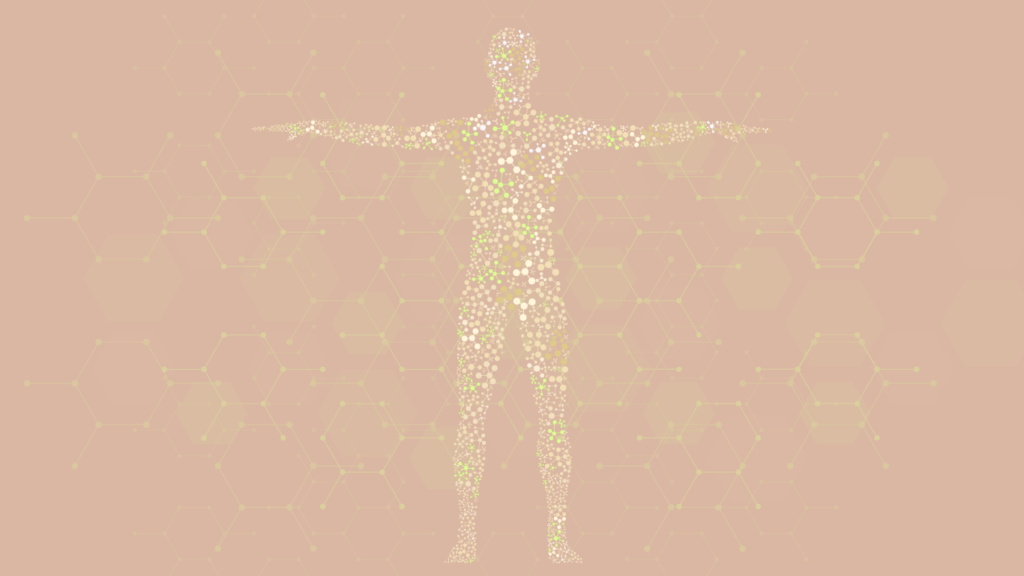 Le système digestif : vue d'ensemble - Atavi